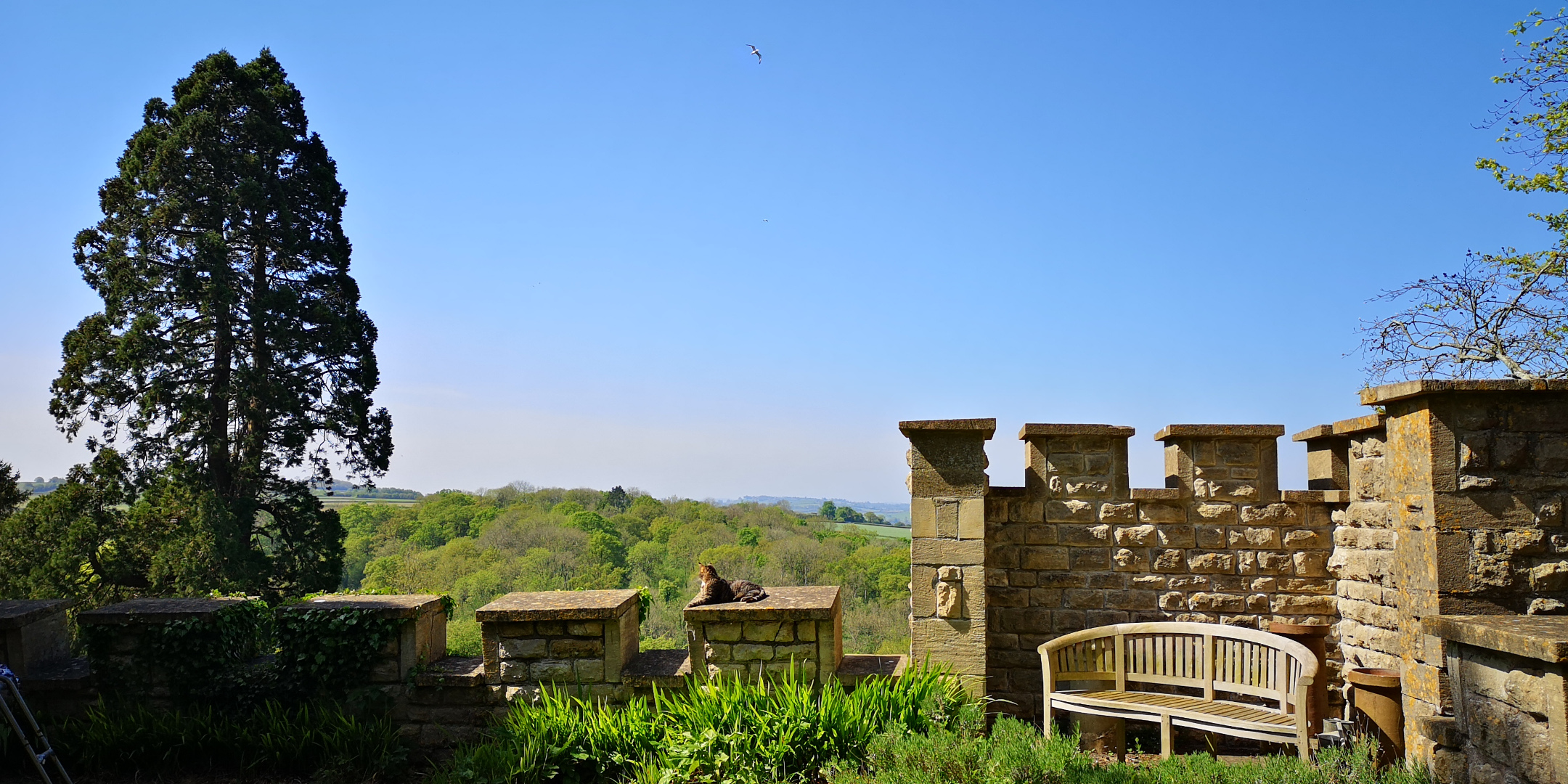 Gallery – Barrow Castle