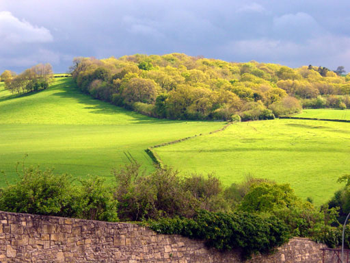 Gallery – Barrow Castle