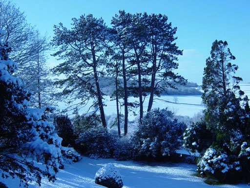 Gallery – Barrow Castle