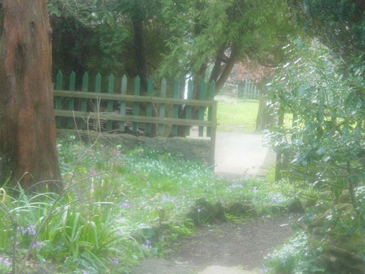 Gallery – Barrow Castle