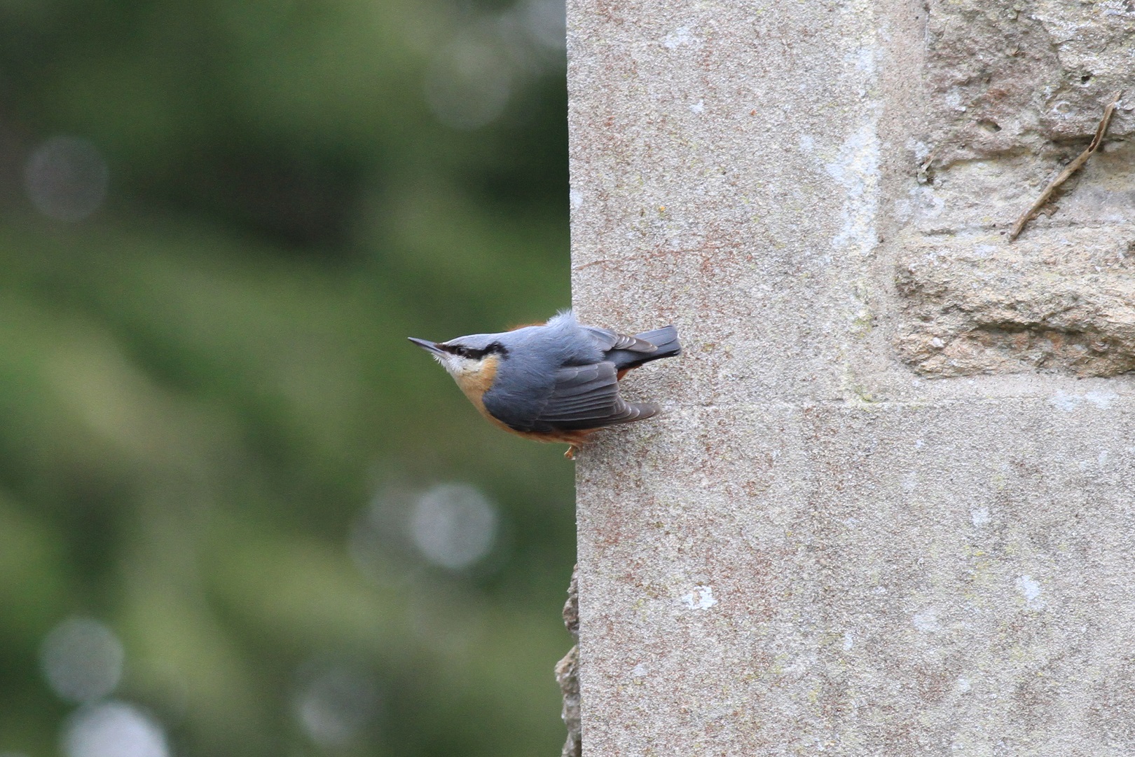 Gallery – Barrow Castle