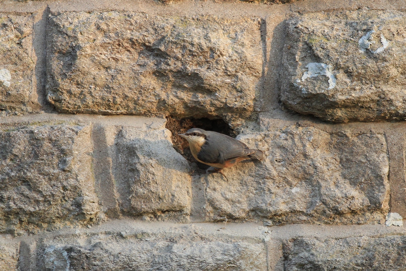 Gallery – Barrow Castle